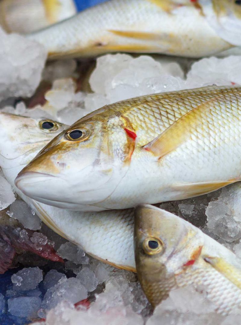 Emperor Fish – Direct Seafood Asia