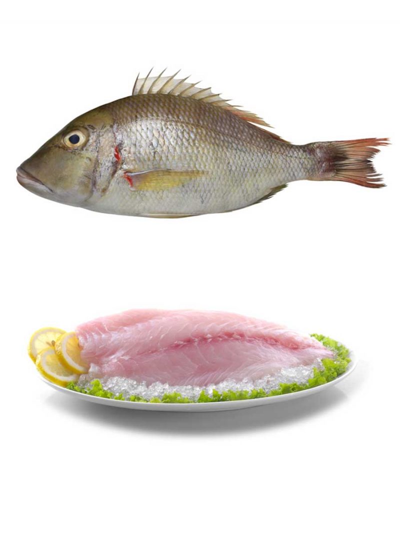 Emperor Fish – Direct Seafood Asia